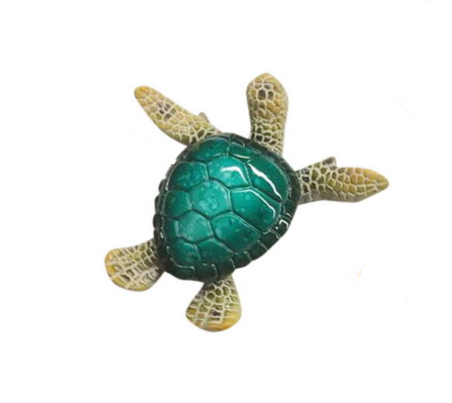 8cm Marble Turtles – Charlie & Chums