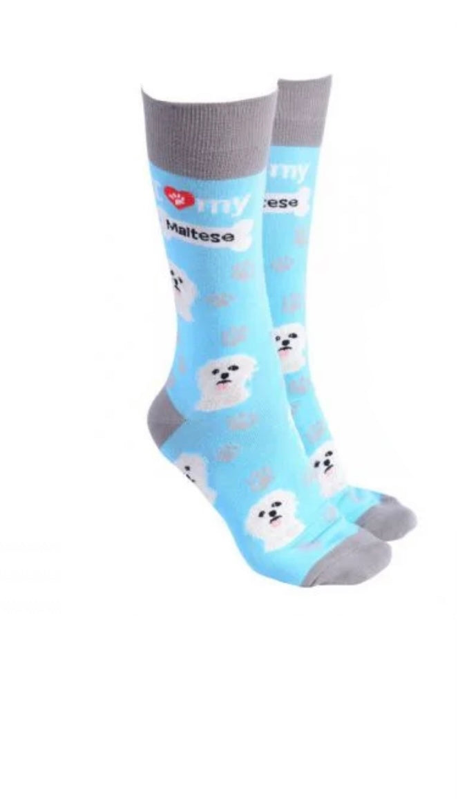 Sock Society - Dogs - Maltese – Charlie & Chums