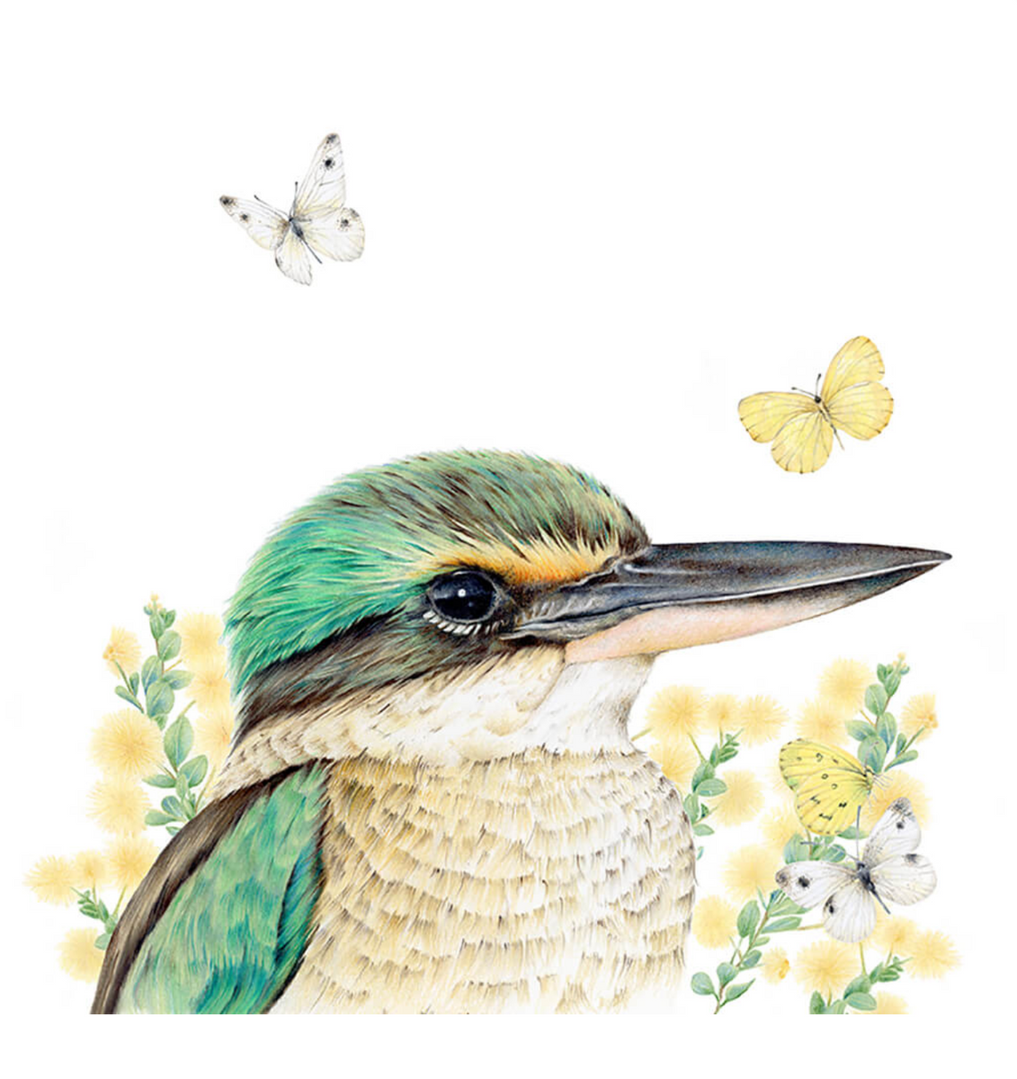 Yindi the Sacred Kingfisher - Fine Art Print – Charlie & Chums