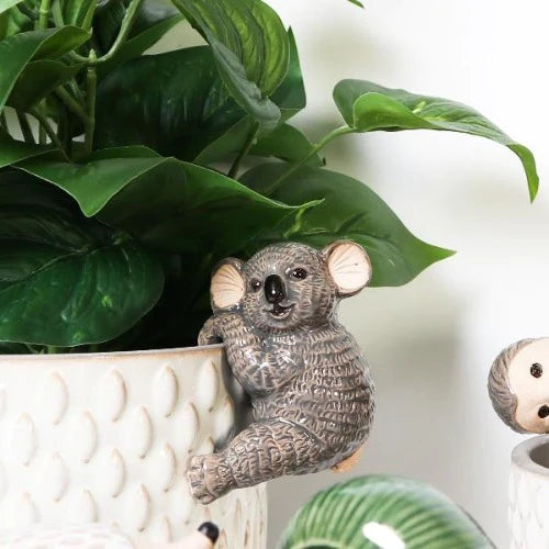 Ceramic Koala Pot Hangers – Charlie & Chums